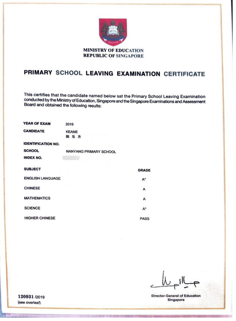 A Nurse’s Care and Mother’s Love: The Recipe for PSLE Success - Think ...