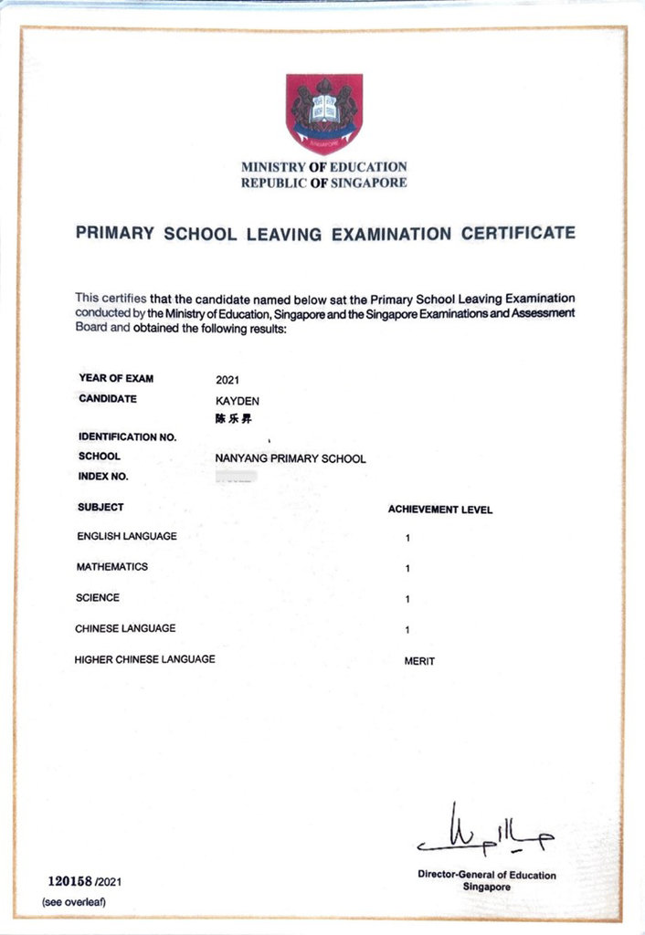 A Nurse’s Care and Mother’s Love: The Recipe for PSLE Success - Think ...