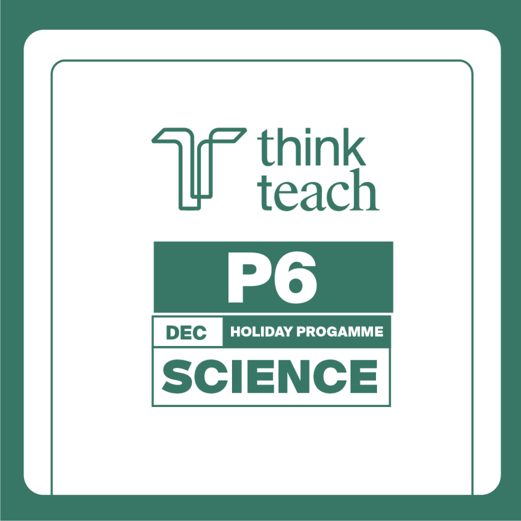 December Holiday Programme – Think Teach Academy