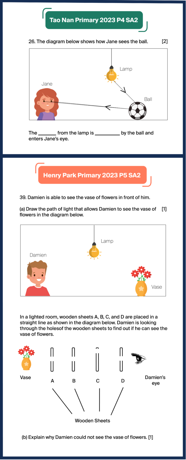 The P4 to P5 Transition: Why Grades Drop and How to Bounce Back - Think ...